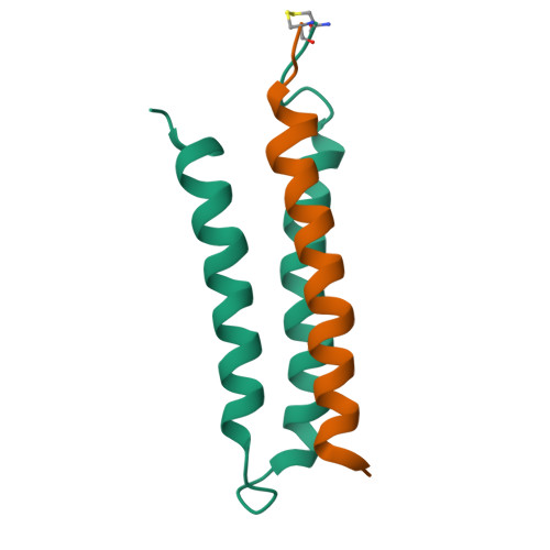 RCSB PDB - 2L35: Structure of the DAP12-NKG2C transmembrane heterotrimer