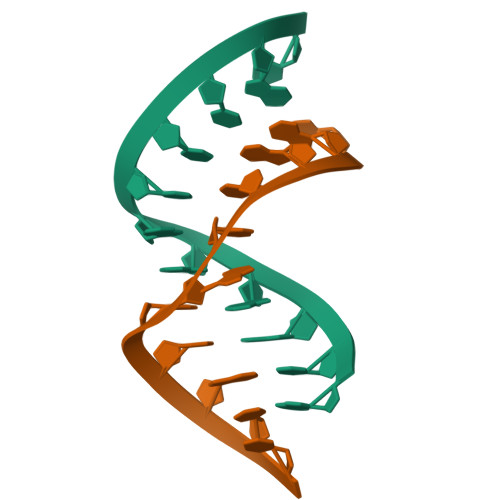 RCSB PDB - 2L8F: Structure of a 4X4 Nucleotide RNA Internal Loop from ...