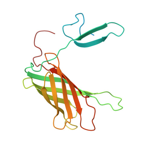 RCSB PDB - 2LFU: The structure of a N. meningitides protein targeted ...