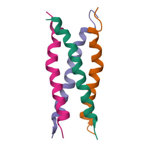 RCSB PDB - 2LJB: Structure of the influenza AM2-BM2 chimeric channel