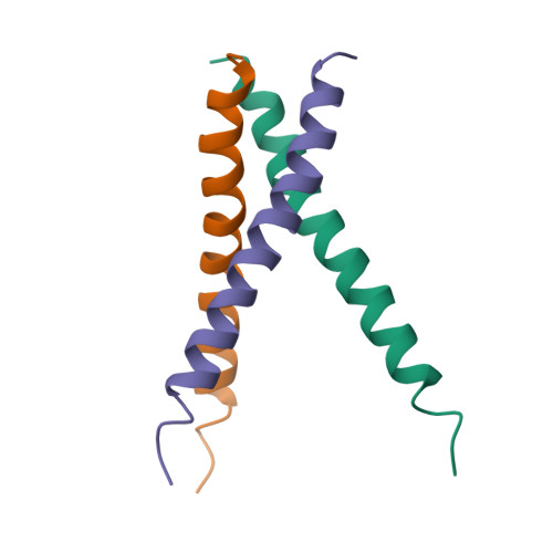 RCSB PDB - 2MET: NMR spatial structure of the trimeric mutant TM domain ...