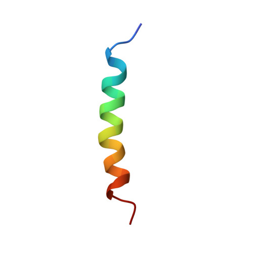 RCSB PDB - 2MKB: Structure of NS2(113-137) GBVB protein