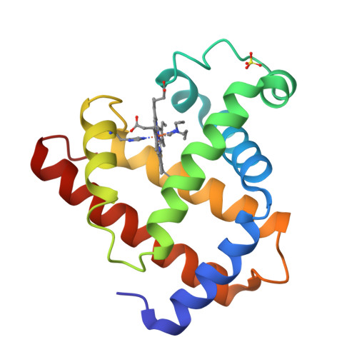 RCSB PDB - 2MYD: HIGH RESOLUTION X-RAY STRUCTURES OF MYOGLOBIN-AND ...