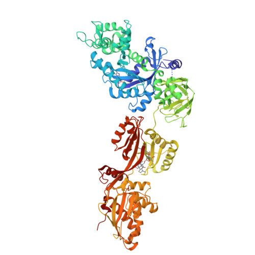 RCSB PDB - 2NPF: Structure of eEF2 in complex with moriniafungin