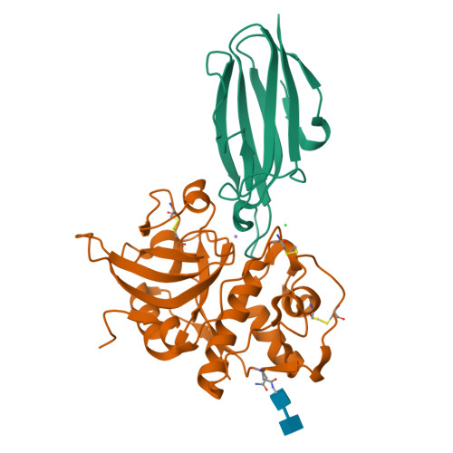 RCSB PDB - 2NQD: Crystal structure of cysteine protease inhibitor ...