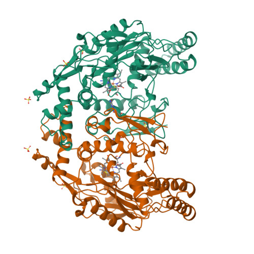 RCSB PDB - 2NSI: HUMAN INDUCIBLE NITRIC OXIDE SYNTHASE, ZN-FREE, SEITU ...
