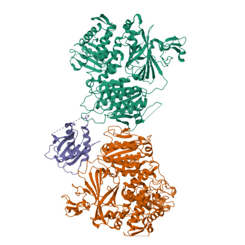 RCSB PDB - 2NUP: Crystal Structure of the human Sec23a/24a heterodimer ...