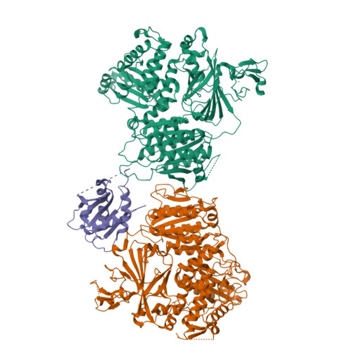 RCSB PDB - 2NUT: Crystal Structure of the human Sec23a/24a heterodimer ...