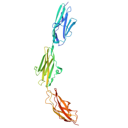 RCSB PDB - 2NZI: Crystal structure of domains A168-A170 from titin