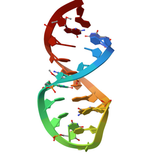 RCSB PDB - 2O32: Solution structure of U2 snRNA stem I from human ...