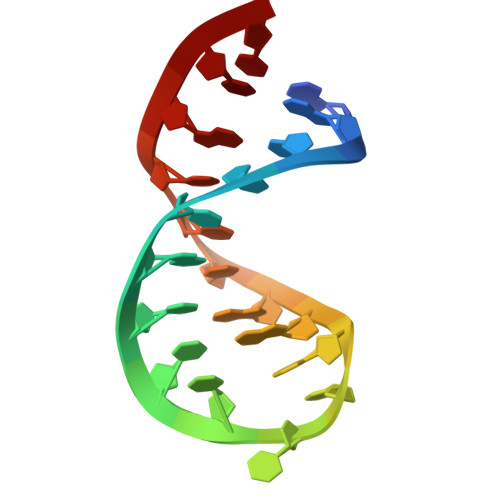 RCSB PDB - 2O33: Solution structure of U2 snRNA stem I from S. cerevisiae