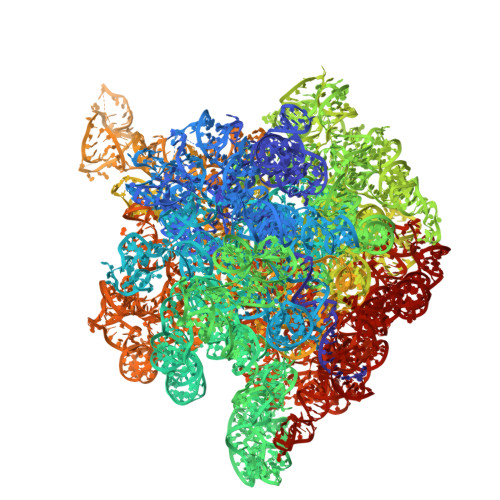 RCSB PDB - 2O44: Structure of 23S rRNA of the large ribosomal subunit ...
