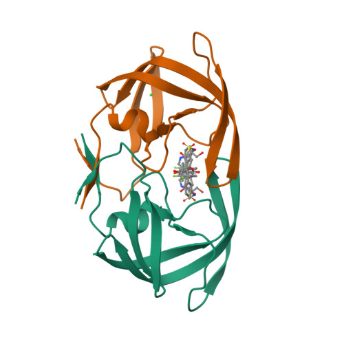 RCSB PDB - 2O4L: Crystal Structure of HIV-1 Protease (Q7K, I50V) in ...