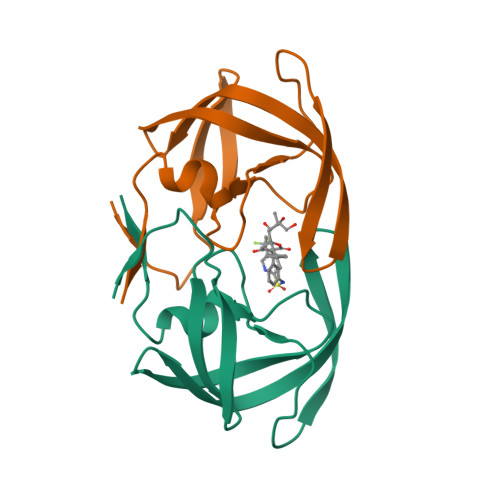 RCSB PDB - 2O4N: Crystal Structure of HIV-1 Protease (TRM Mutant) in ...