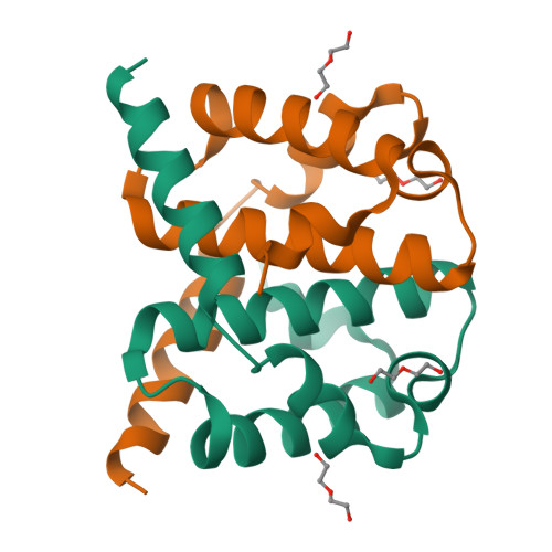RCSB PDB - 2O4T: CRYSTAL STRUCTURE OF a protein of the DUF1048 family ...