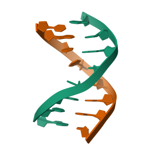 RCSB PDB - 2O4Y: Solution structure of a DNA duplex containing the ...
