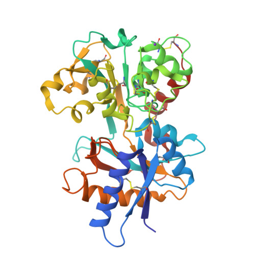 RCSB PDB - 2O84: Crystal structure of K206E mutant of N-lobe human ...