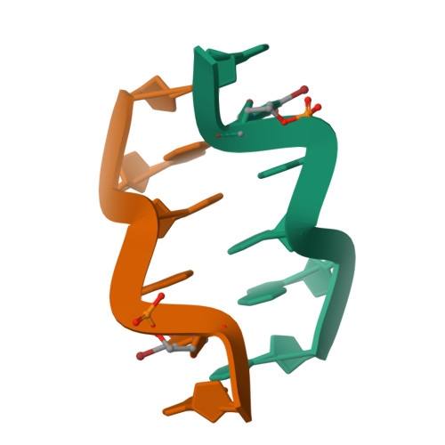 RCSB PDB - 2OBZ: Crystal structure of the The brominated Z-DNA duplex d ...