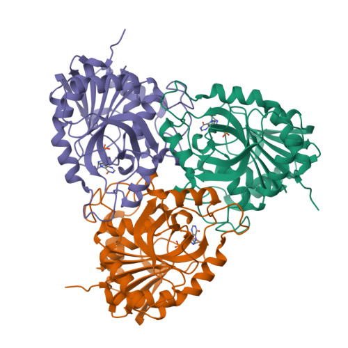 RCSB PDB - 2OC4: Crystal structure of human purine nucleoside ...