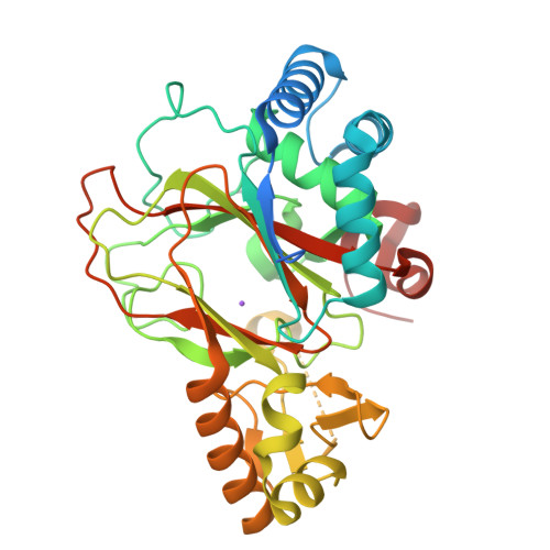 RCSB PDB - 2OG5: Crystal structure of asparagine oxygenase (AsnO)