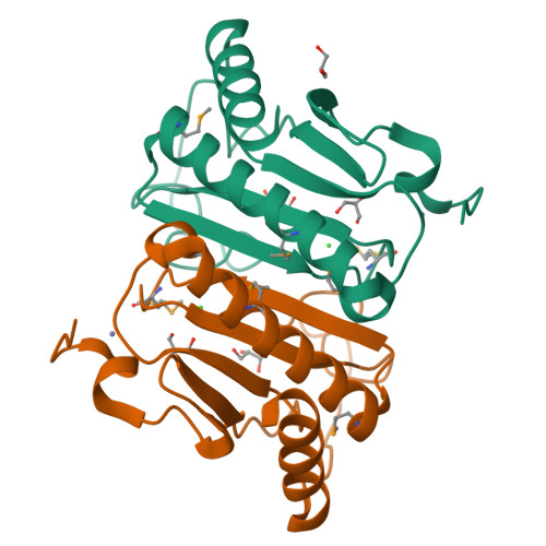 RCSB PDB - 2OIK: Crystal structure of a histidine triad (hit) protein ...