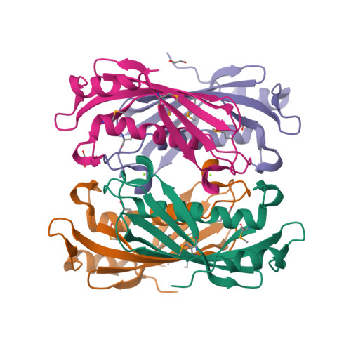 RCSB PDB - 2OIW: The structure of a predicted thioesterase from ...