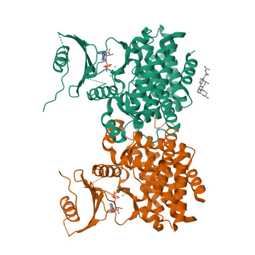 RCSB PDB - 2OLC: Crystal structure of 5-methylthioribose kinase in ...