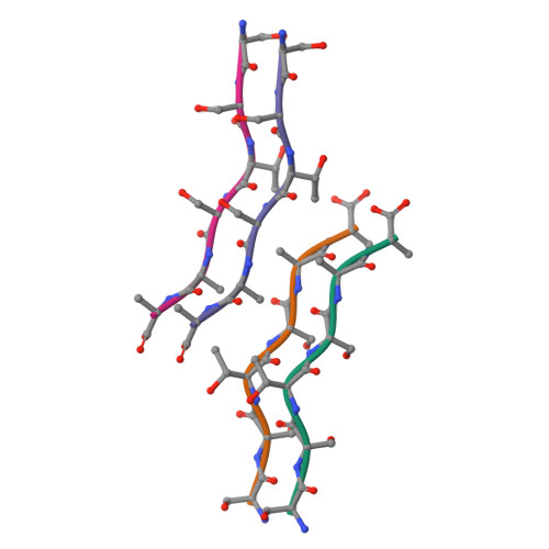 RCSB PDB - 2ONW: Structure of SSTSSA, a fibril forming peptide from ...