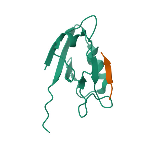 RCSB PDB - 2OQS: Structure of the hDLG/SAP97 PDZ2 in complex with HPV ...
