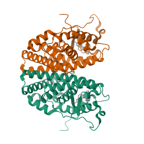 RCSB PDB - 2OUZ: Crystal Structure of Estrogen Receptor alpha ...