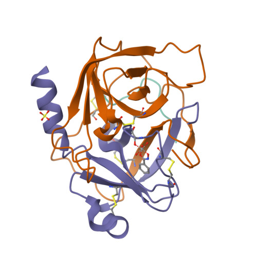 RCSB PDB - 2P8O: Crystal Structure of a Benzohydroxamic Acid/Vanadate ...