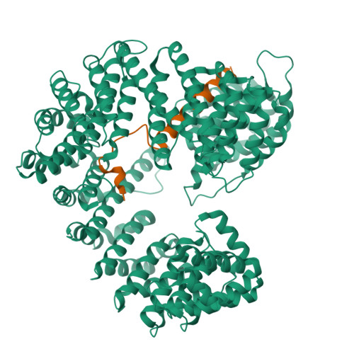 RCSB PDB - 2P8Q: Crystal Structure of human Importin beta bound to the ...