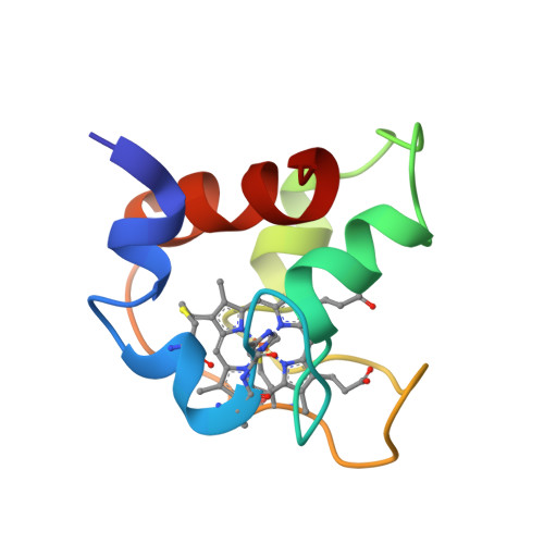 RCSB PDB - 2PAC: SOLUTION STRUCTURE OF FE(II) CYTOCHROME C551 FROM ...