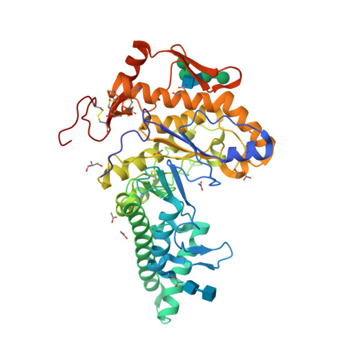 RCSB PDB - 2PE4: Structure of Human Hyaluronidase 1, a Hyaluronan ...