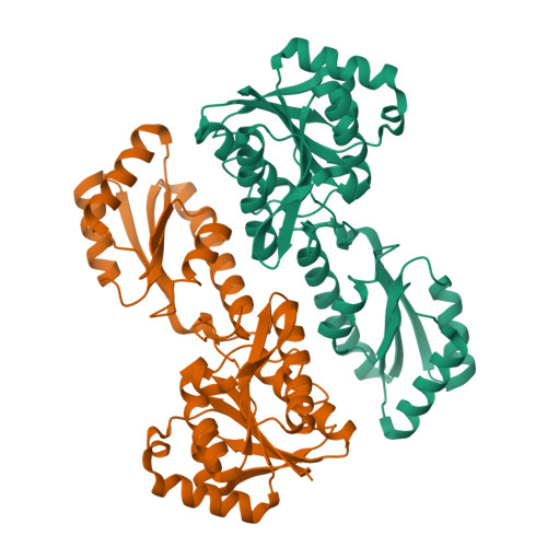 RCSB PDB - 2PFK: THE CRYSTAL STRUCTURE OF UNLIGANDED ...