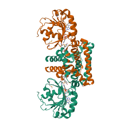 RCSB PDB - 2PV7: Crystal structure of chorismate mutase / prephenate ...