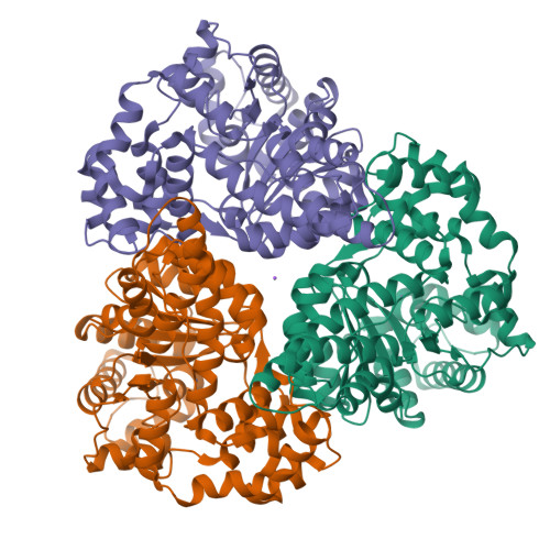 RCSB PDB - 2Q6E: Crystal structure of glucuronate isomerase from ...