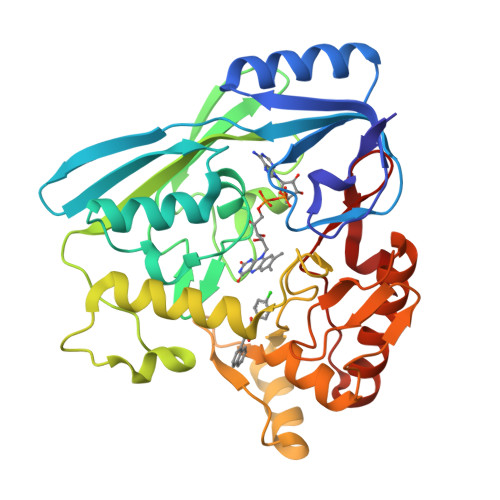 RCSB PDB - 2Q85: Crystal Structure of E. Coli Mur B bound to a Naphthyl ...