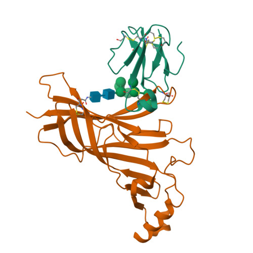 RCSB PDB - 2QC1: Crystal structure of the extracellular domain of the ...