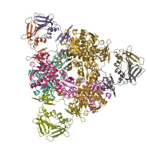 RCSB PDB - 2QG9: Structure of a regulatory subunit mutant D19A of ...