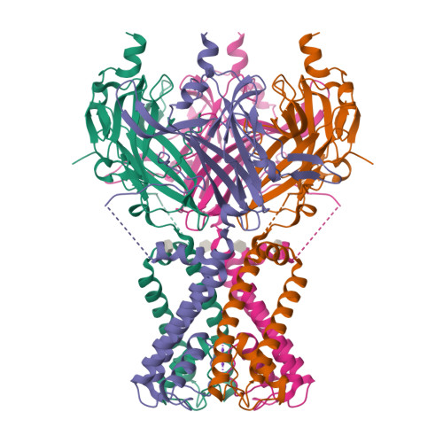 RCSB PDB - 2QKS: Crystal structure of a Kir3.1-prokaryotic Kir channel ...