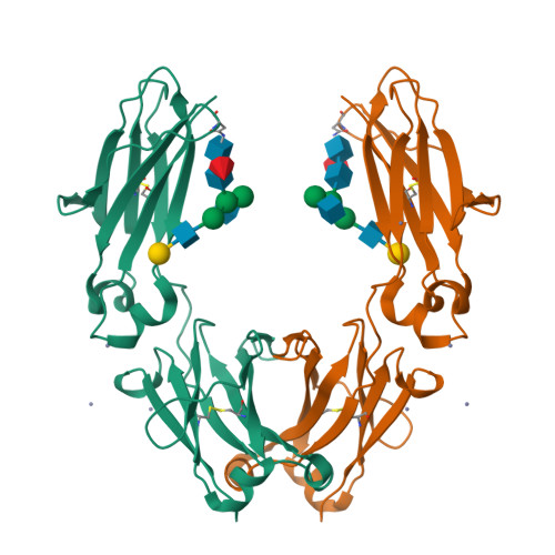 RCSB PDB - 2QL1: Structural Characterization of a Mutated, ADCC ...