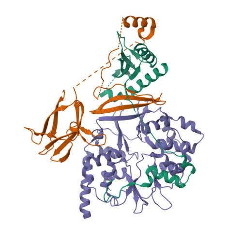 RCSB PDB - 2QLV: Crystal structure of the heterotrimer core of the S ...