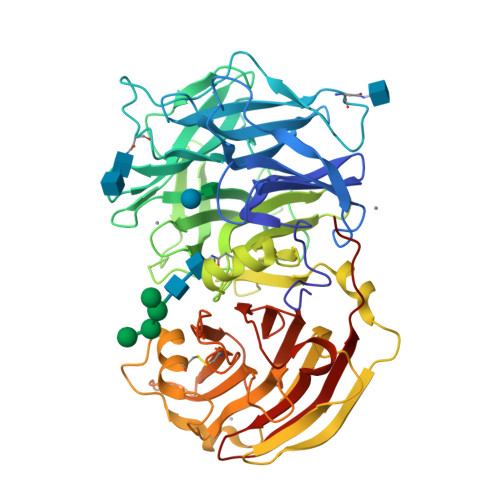 RCSB PDB - 2QQW: Crystal structure of a cell-wall invertase (D23A) from ...