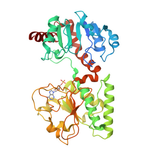 RCSB PDB - 2QRK: Crystal Structure of AMP-bound Saccharopine ...