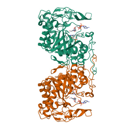 RCSB PDB - 2R14: Structure of morphinone reductase in complex with ...