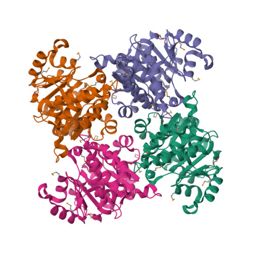 RCSB PDB - 2R3E: CRYSTAL STRUCTURE OF a ribokinase-like superfamily ...