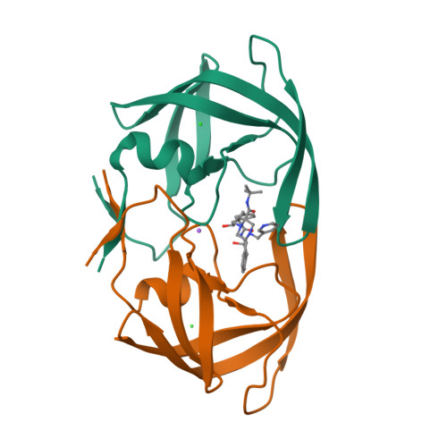 RCSB PDB - 2R5P: Crystal Structure Analysis of HIV-1 Subtype C Protease ...
