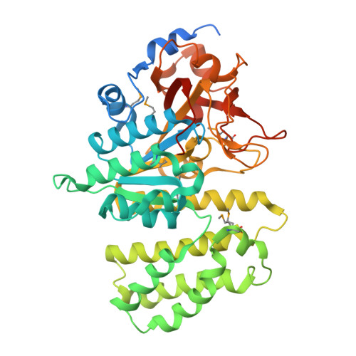 RCSB PDB - 2RAD: Crystal structure of the succinoglycan biosynthesis ...
