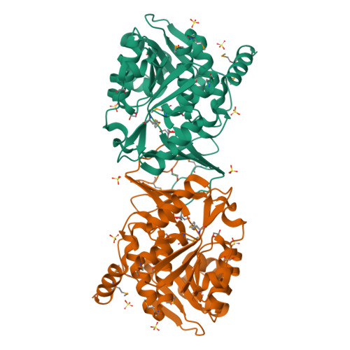 RCSB PDB - 2RBC: Crystal structure of a putative ribokinase from ...